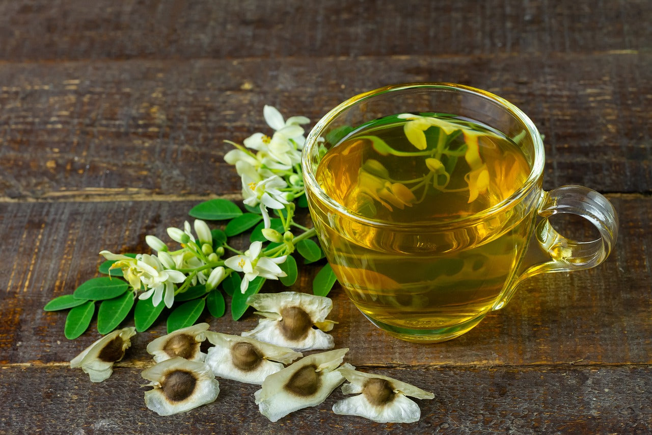The Power of Moringa Tea Benefits | Tea J Tea