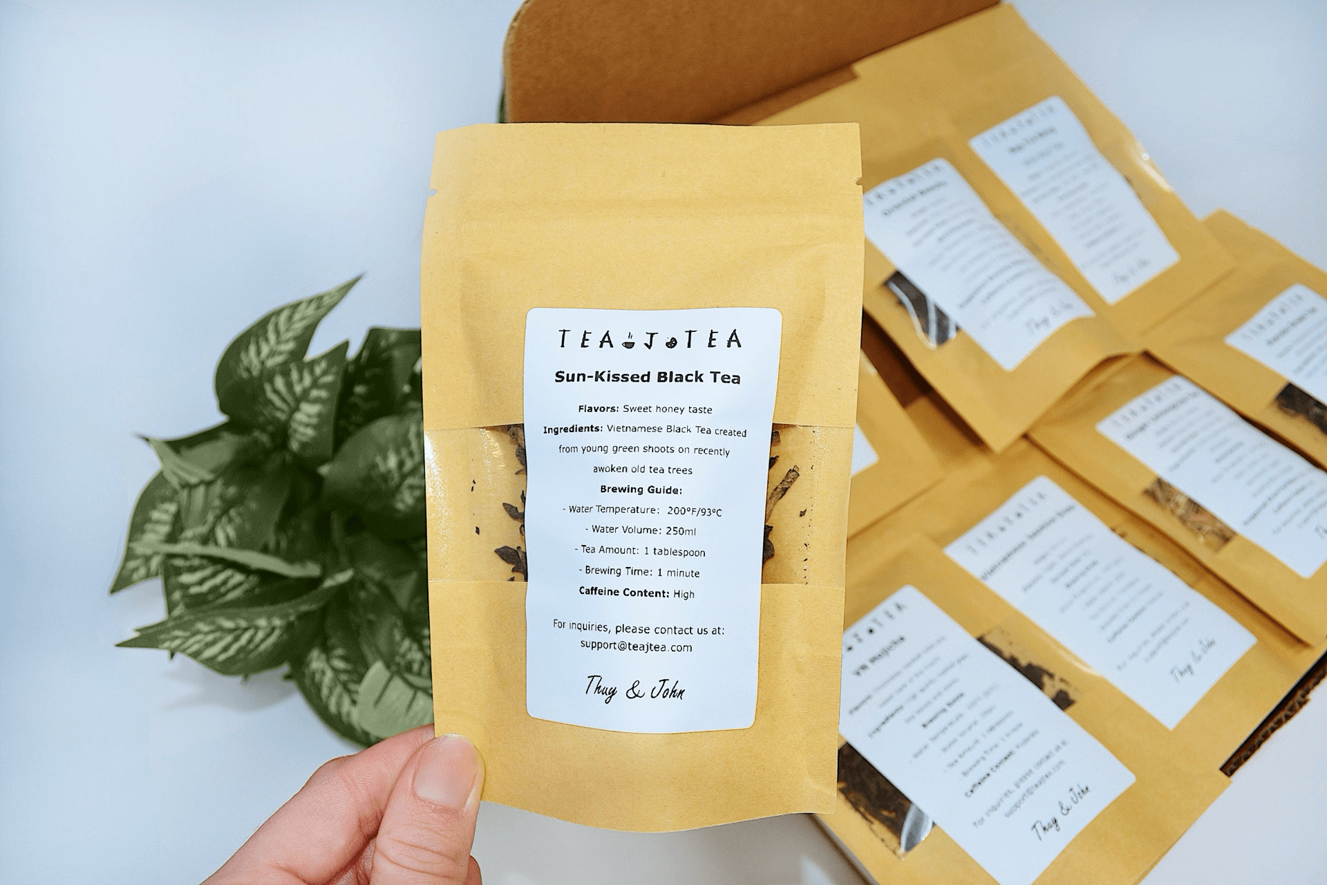 Vietnamese Tea Sampler | Handpicked Collection of Vietnam's Teas – Tea ...