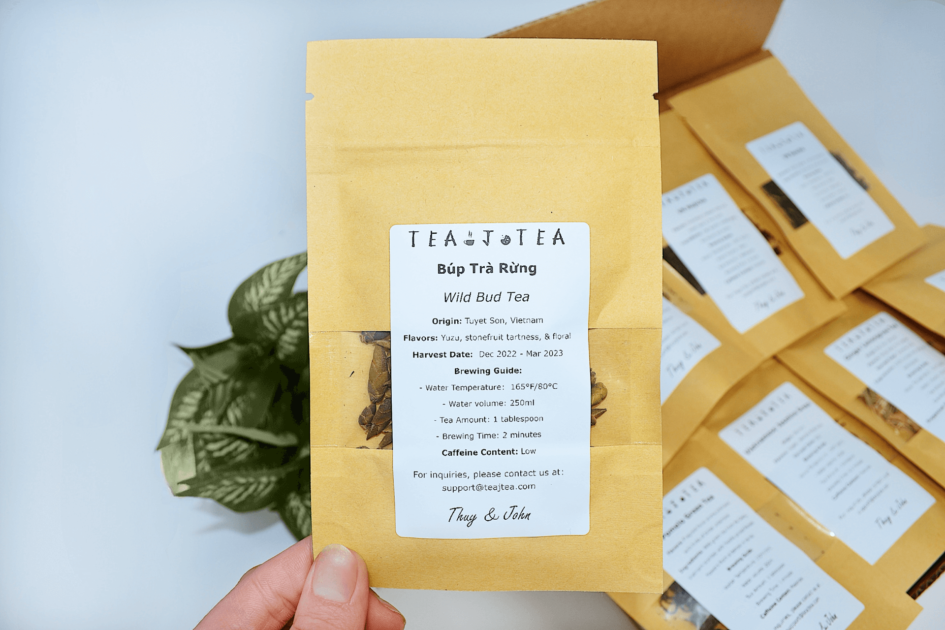 Vietnamese Tea Sampler | Handpicked Collection of Vietnam's Teas – Tea ...